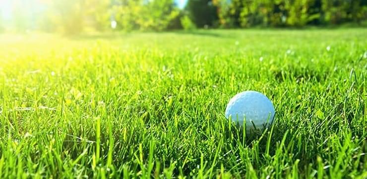 Ship Golf Clubs | Ship Sticks